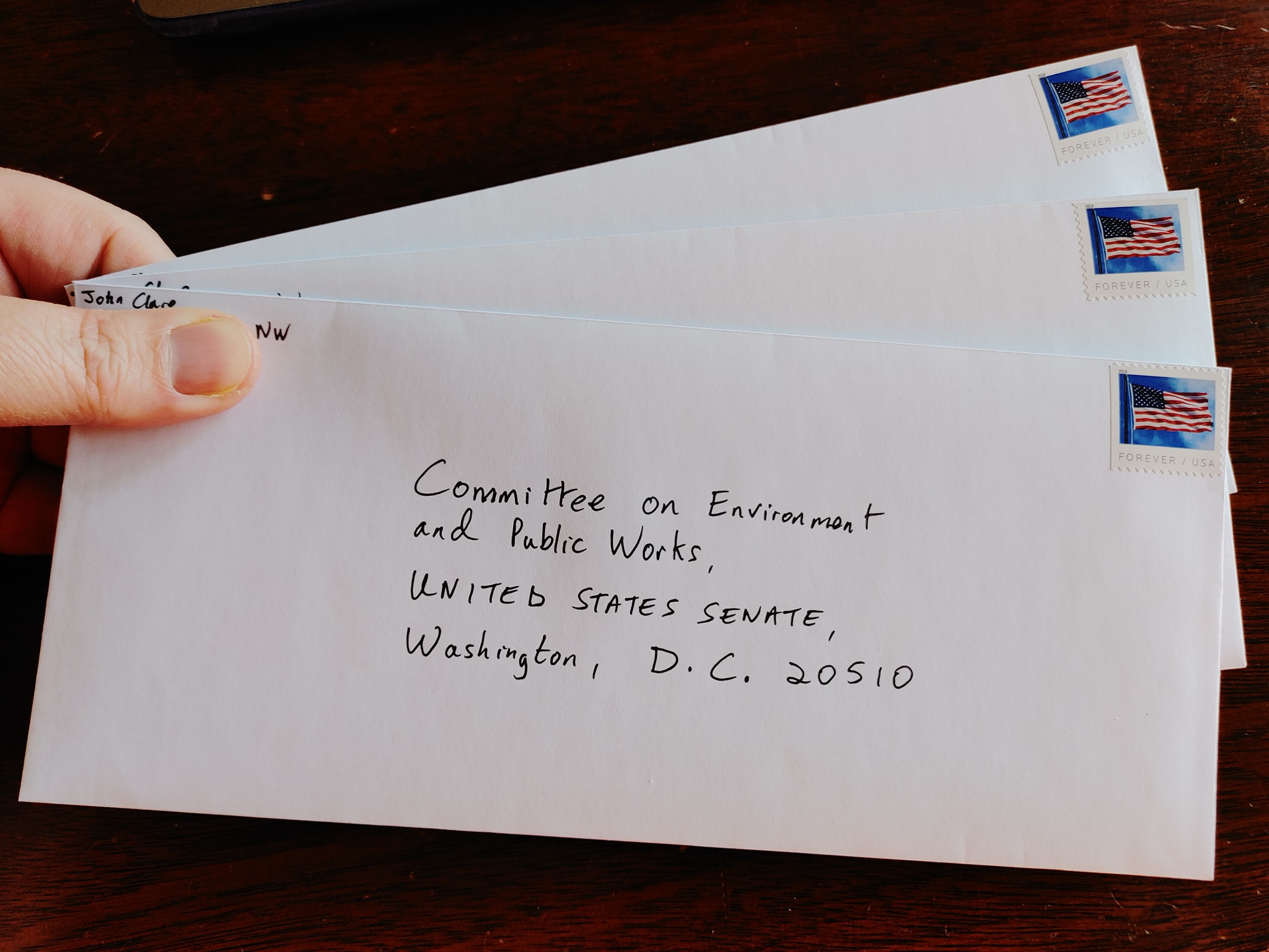 Share a photo of your letters! | Caudata.org: Newts and Salamanders Portal
