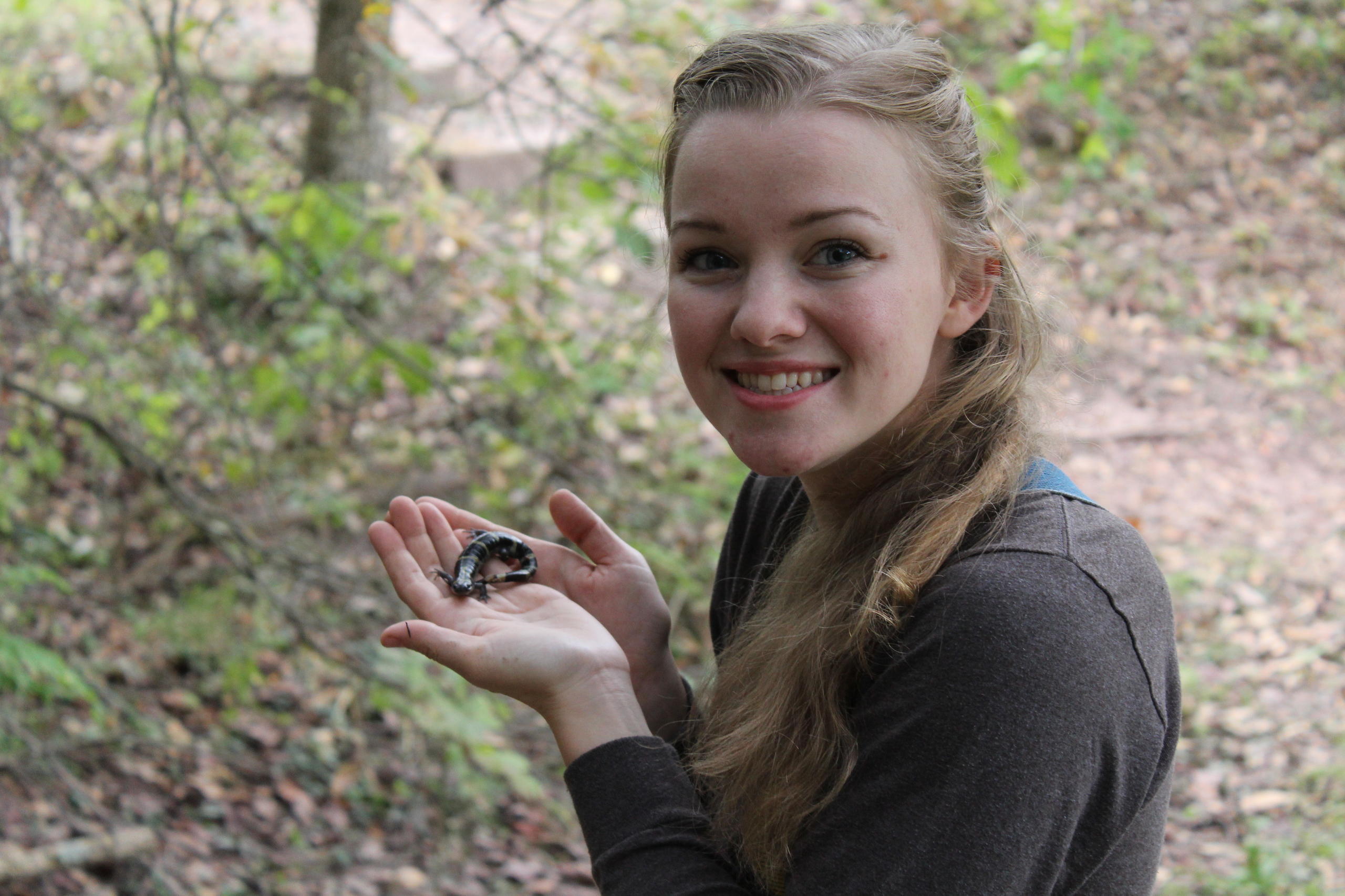 show-me-state-salamanders-and-snakes-field-herp-forum